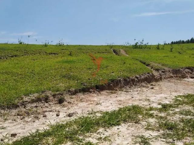 Sítio / Chácara para Venda em São Pedro/SP Graminha