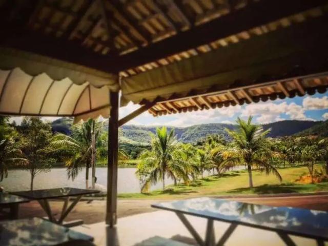 Sítio / Chácara para Venda em São Pedro/SP Novo Horizonte 19 Quartos