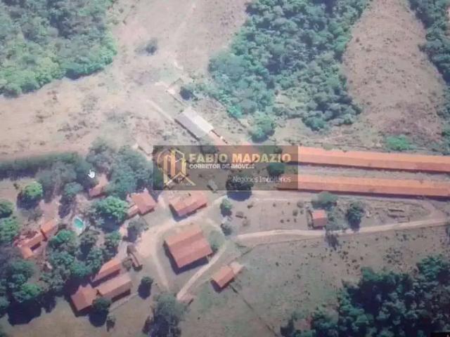 Sítio / Chácara para Venda em São Pedro/SP Zona Rural