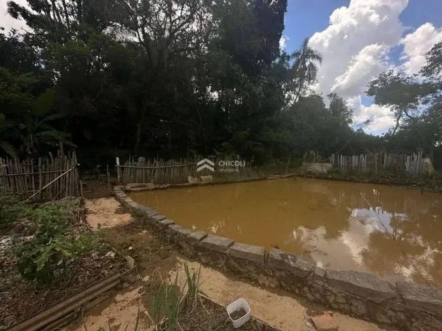 Sítio / Chácara para Venda em São Roque/SP Caete Mailasqui 2 Quartos