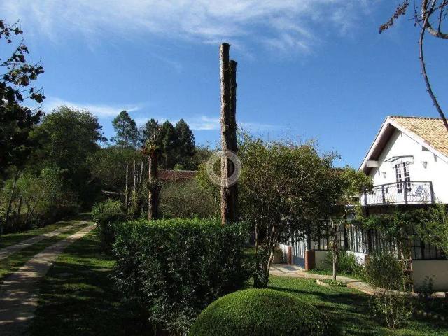 Sítio / Chácara para Venda em São Roque/SP Centro Canguera 4 Quartos