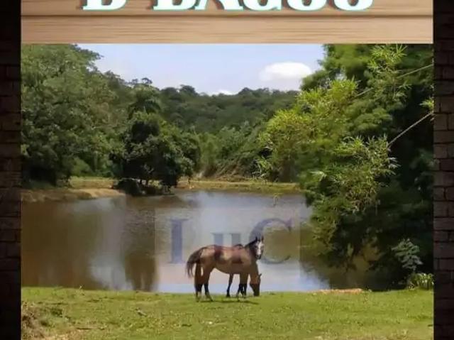 Sítio / Chácara para Venda em São Roque/SP Centro