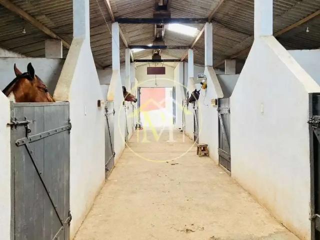 Sítio / Chácara para Venda em São Roque/SP Centro 2 Quartos