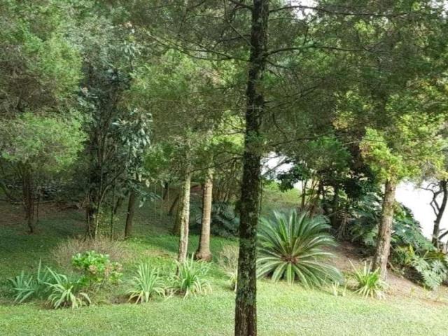 Sítio / Chácara para Venda em São Roque/SP Centro 4 Quartos