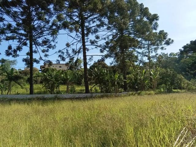 Sítio / Chácara para Venda em São Roque/SP Alto Da Serra Mailasqui 1 Quartos