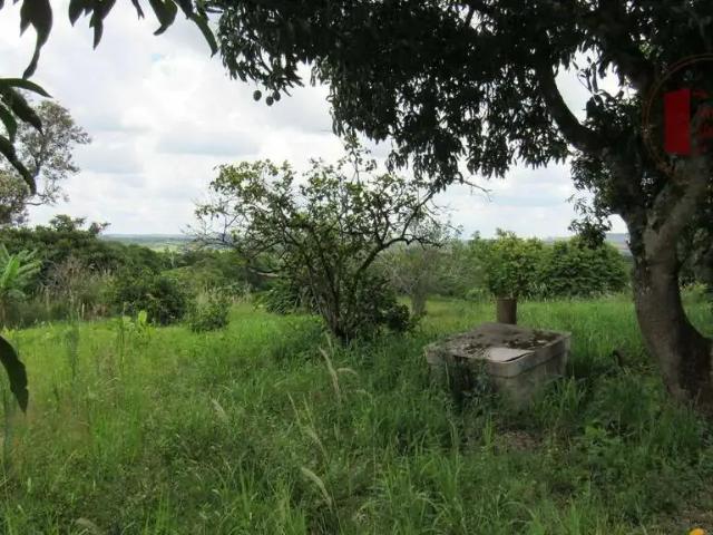 Sítio / Chácara para Venda em São Roque/SP Área Rural de São Roque