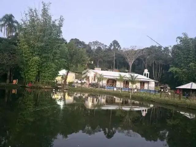 Sítio / Chácara para Venda em São Roque/SP Jardim Camargo Canguera 6 Quartos