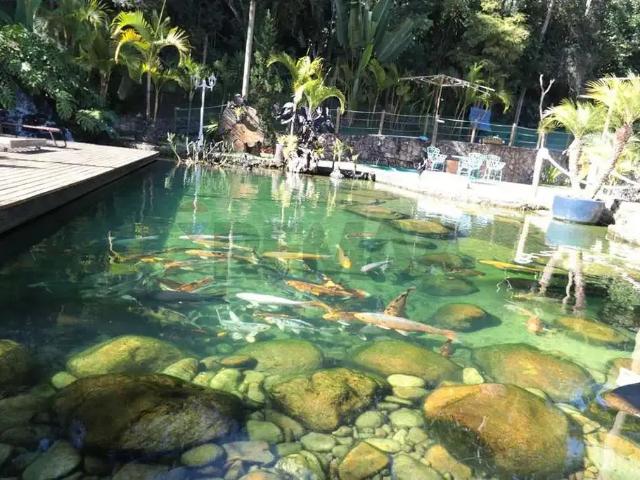 Sítio / Chácara para Venda em São Roque/SP Jardim Cardoso Mailasqui 2 Quartos