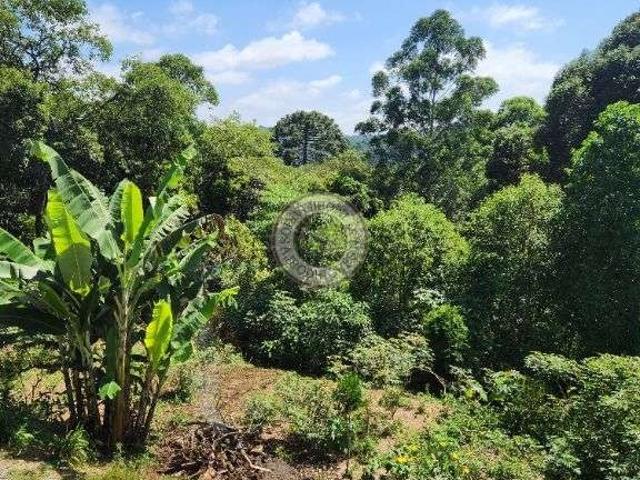 Sítio / Chácara para Venda em São Roque/SP Sorocamirim Canguera 2 Quartos