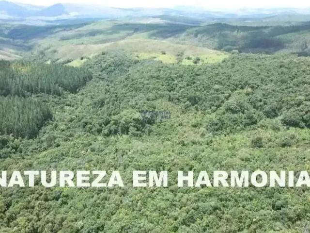 Sítio / Chácara para Venda em São Sebastião do Paraíso/MG Zona Rural 1 Quartos