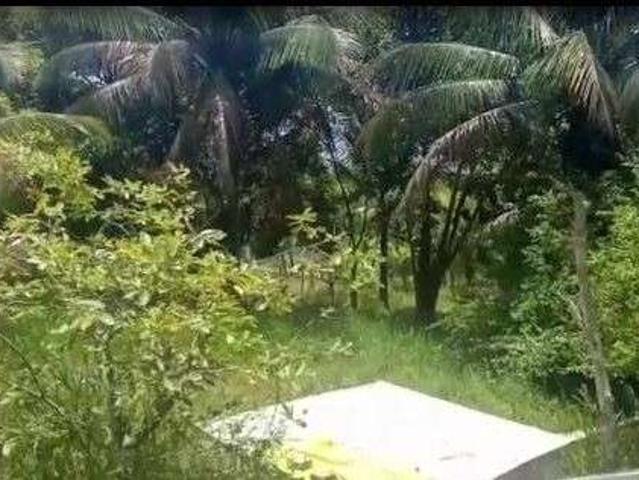 Sítio / Chácara para Venda em São Sebastião do Passe/BA Centro