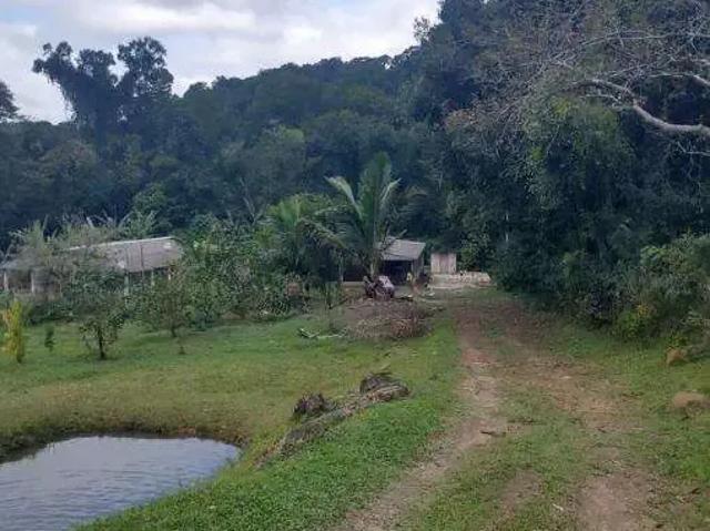 Sítio / Chácara para Venda em São Sebastião/SP Jaraguá