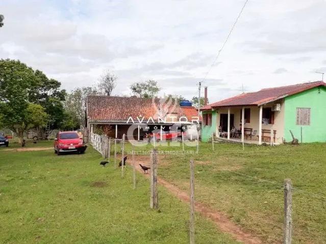 Sítio / Chácara para Venda em São Sepé/RS Zona Rural 3 Quartos