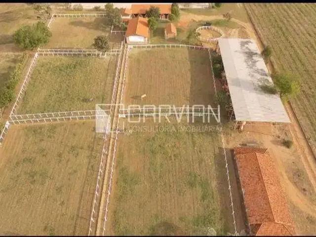 Sítio / Chácara para Venda em São Simão/SP Jardim das Américas 3 Quartos