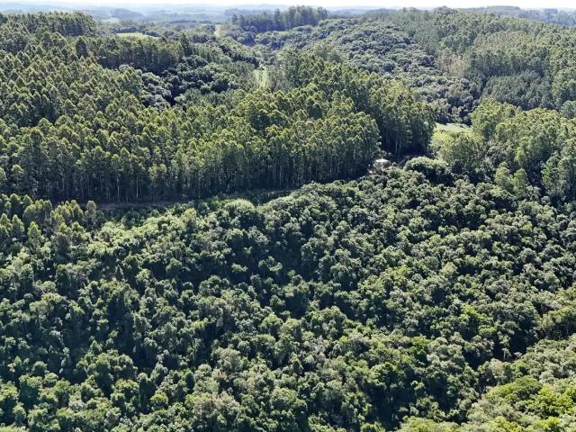 Sítio / Chácara para Venda em São Valentim do Sul/RS Zona Rural
