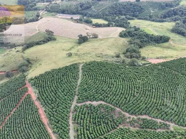 Sítio / Chácara para Venda em Socorro/SP Jaboticabal