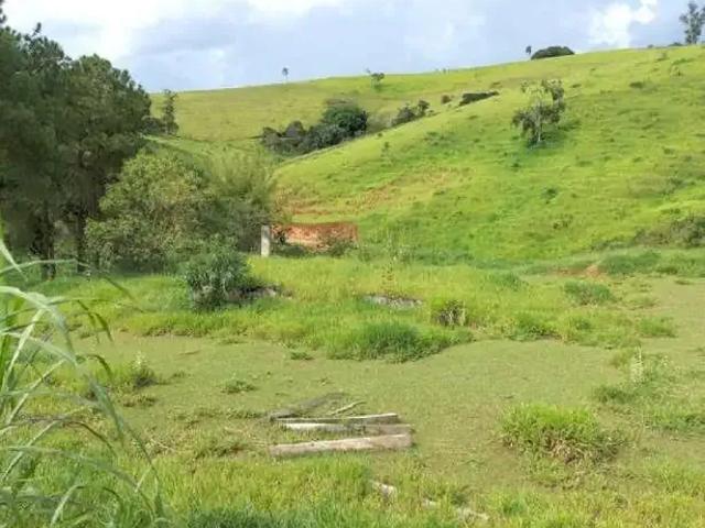 Sítio / Chácara para Venda em Socorro/SP Rubins