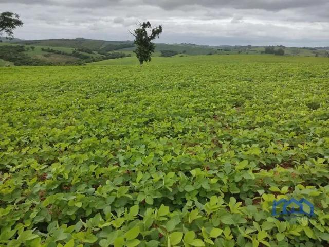 Sítio / Chácara para Venda em Sorocaba/SP Área Rural de Sorocaba 1 Quartos