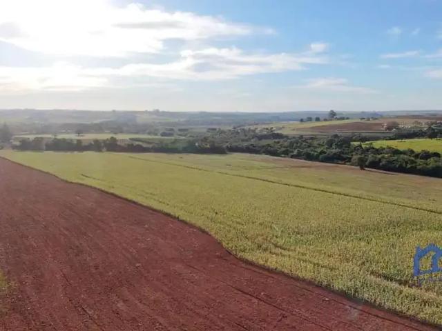 Sítio / Chácara para Venda em Sorocaba/SP Área Rural de Sorocaba 1 Quartos