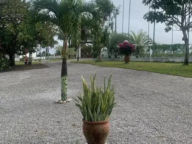 Sítio / Chácara para Venda em Sairé/PE Zona Rural 4 Quartos