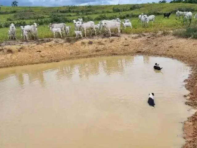 Sítio / Chácara para Venda em Salgado/SE Centro 2 Quartos