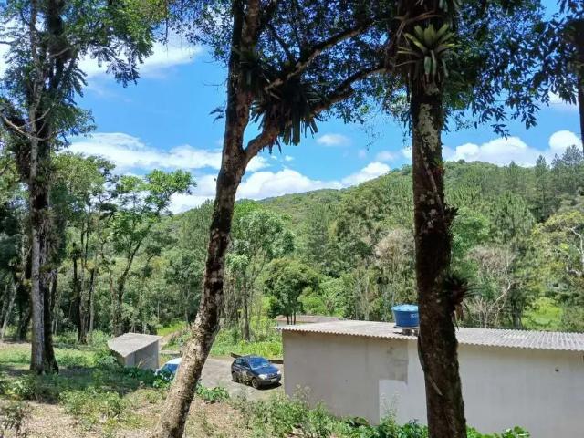 Sítio / Chácara para Venda em Salesópolis/SP Centro 1 Quartos