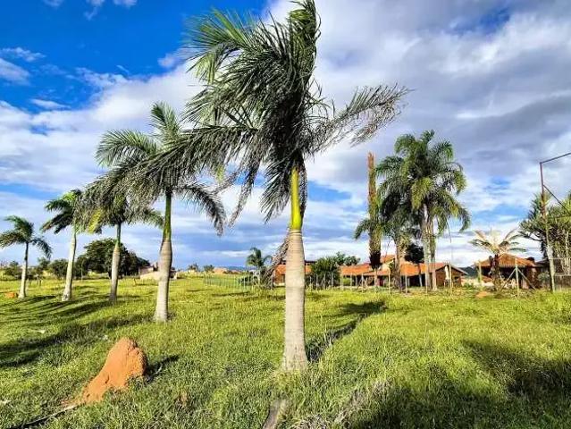 Sítio / Chácara para Venda em Salto de Pirapora/SP Capoavinha 5 Quartos