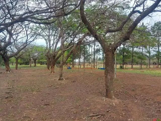 Sítio / Chácara para Venda em Salto/SP Terras de Santa Rosa
