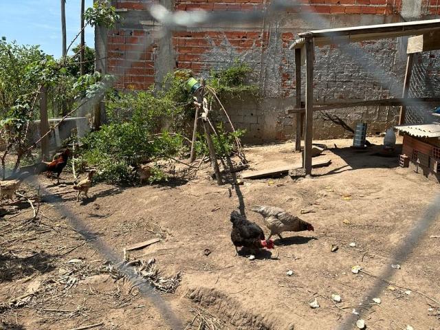 Sítio / Chácara para Venda em Salto/SP Chácara Iracema