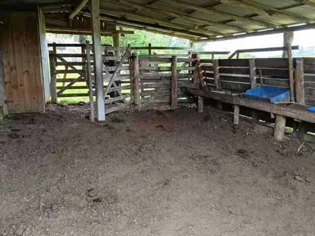 Sítio / Chácara para Venda em Sangão/SC Zona Rural