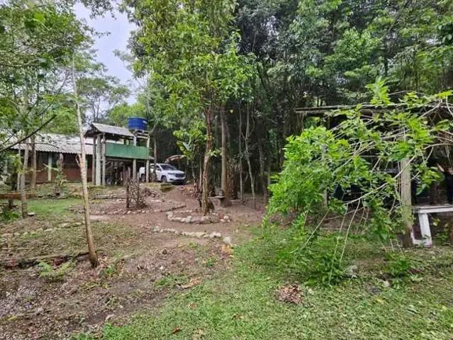 Sítio / Chácara para Venda em Santo Amaro da Imperatriz/SC Braço São João 5 Quartos