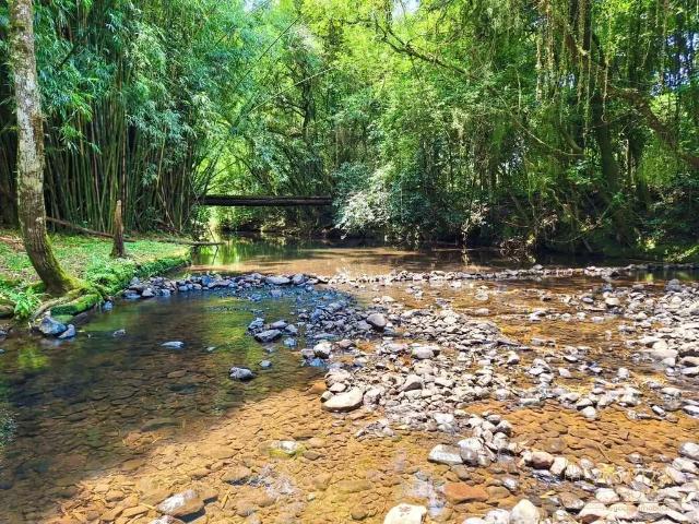 Sítio / Chácara para Venda em Santo Antônio da Patrulha/RS Evaristo 2 Quartos