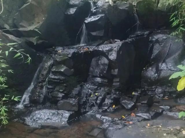 Sítio / Chácara para Venda em Santo Antônio da Patrulha/RS Zona Rural