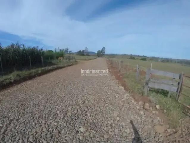 Sítio / Chácara para Venda em Santo Antônio da Platina/PR Jardim Monte das Oliveiras