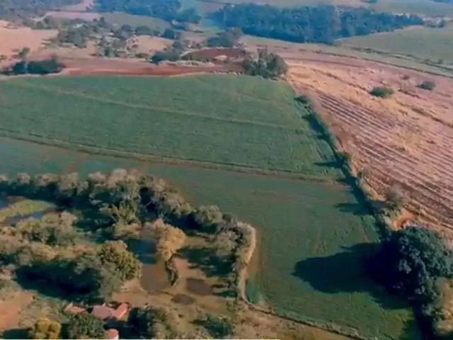 Sítio / Chácara para Venda em Santo Antônio da Platina/PR Platina 4 Quartos