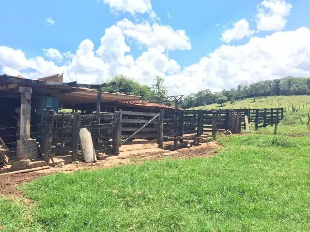 Sítio / Chácara para Venda em Santo Antônio de Goiás/GO Setor Central