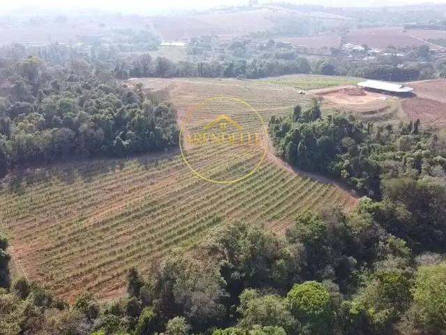 Sítio / Chácara para Venda em Santo Antônio de Posse/SP Centro