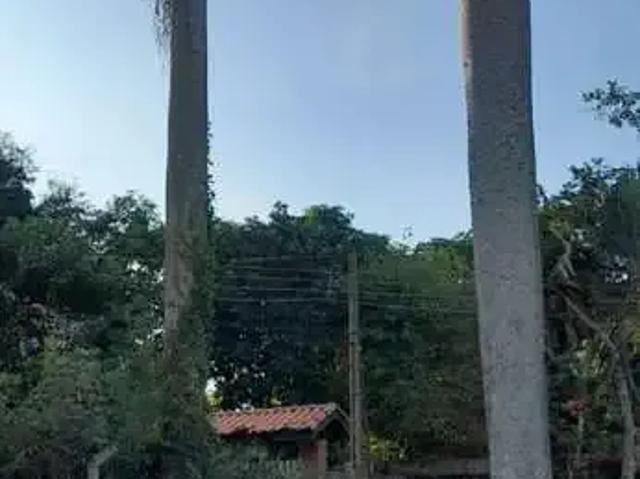 Sítio / Chácara para Venda em Santo Antônio de Posse/SP Chácaras Recreio Campestre