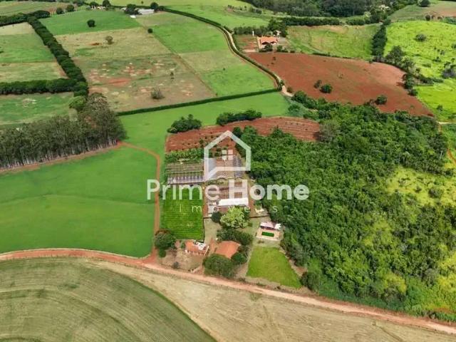 Sítio / Chácara para Venda em Santo Antônio de Posse/SP Colina das Paineiras 4 Quartos
