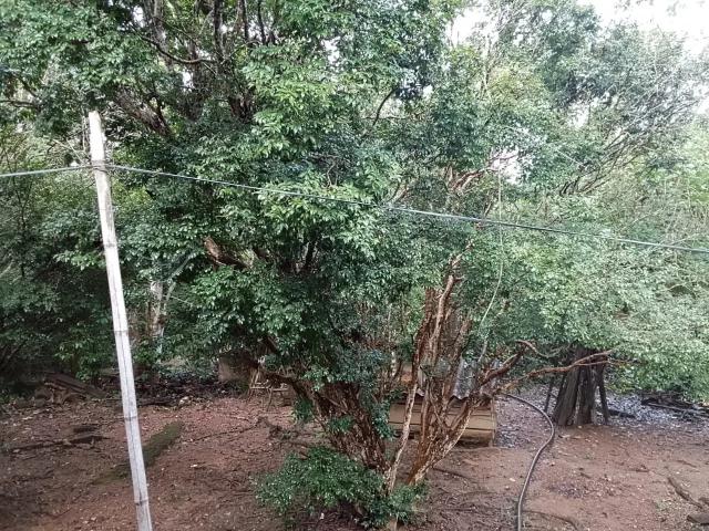 Sítio / Chácara para Venda em Santo Antônio do Descoberto/GO Área Rural de Santo Antônio do Descoberto 2 Quartos