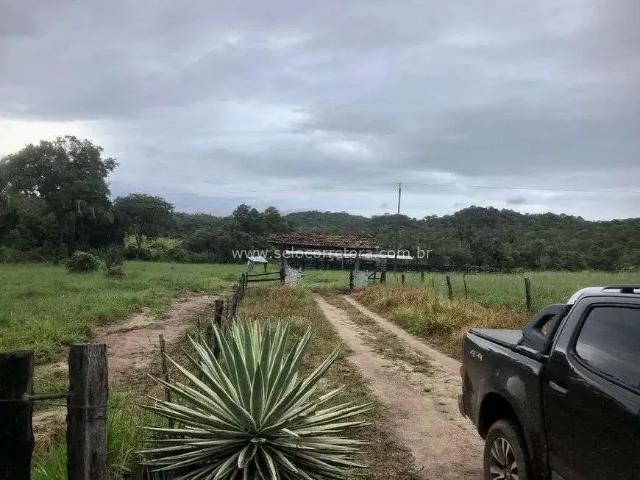 Sítio / Chácara para Venda em Santo Antônio do Leverger/MT Centro