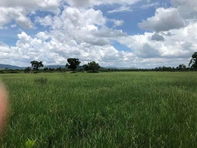 Sítio / Chácara para Venda em Santo Antônio do Leverger/MT Centro