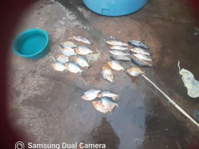 Sítio / Chácara para Venda em Santo Antônio do Leverger/MT Porto de Fora 2 Quartos
