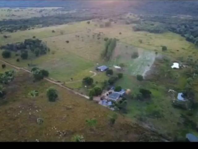 Sítio / Chácara para Venda em Santo Antônio do Leverger/MT Zona Rural 4 Quartos