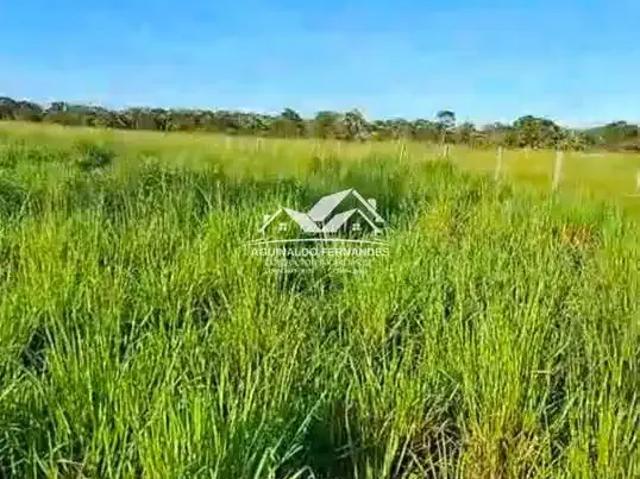 Sítio / Chácara para Venda em Santo Antônio do Leverger/MT Zona Rural