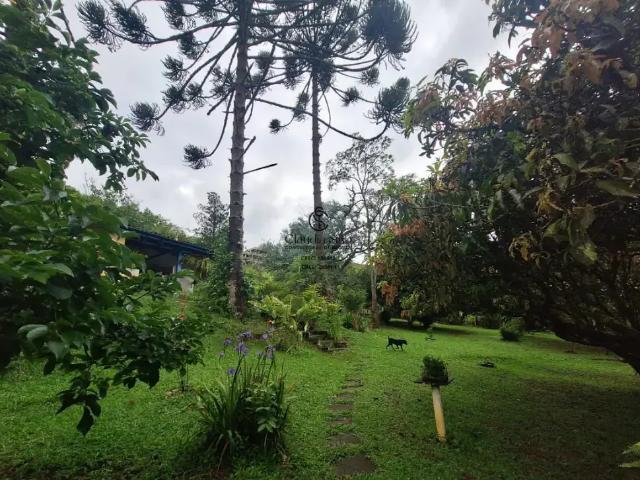 Sítio / Chácara para Venda em Santo Antônio do Pinhal/SP Zona Rural 2 Quartos