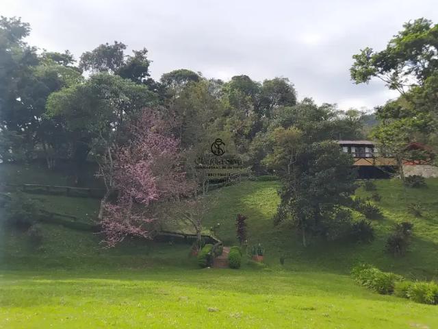 Sítio / Chácara para Venda em Santo Antônio do Pinhal/SP Zona Rural 4 Quartos