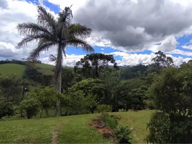 Sítio / Chácara para Venda em Santo Antônio do Pinhal/SP Zona Rural 6 Quartos