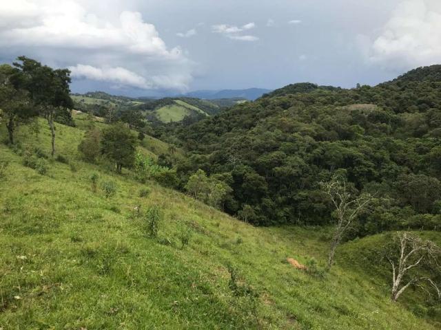 Sítio / Chácara para Venda em Santo Antônio do Pinhal/SP Centro