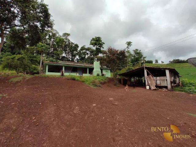 Sítio / Chácara para Venda em Santo Antônio do Sudoeste/PR Centro